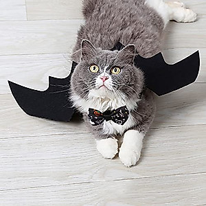 Do-Dottii Cat Halloween Costume Bat Wings Puppy Collar Halloween Cosplay Pet Cat Bat Wings for Halloween Party Decoration Witch Wizard Hat for Small Dogs Cats (Bat Wing +Collar)