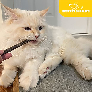 Natural Silvervine Cat Chew Toy | Interactive Silver Vine Chewing Toys with Catnip Like Effect - Valued Sticks, 2 Pack of 20