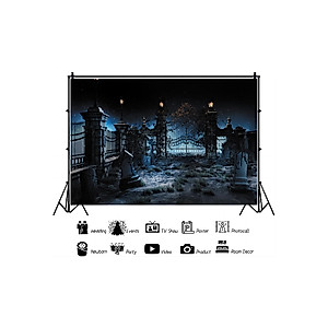 YYNXSY Halloween Grave Photography Photo Background Gravestone Iron Gate Background Festive Party Party Background Room Decoration Photography Studio 8X6FT YY-3016