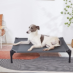 pettycare Elevated Outdoor Dog Bed - Dog Cots for Small Pet, Heavy Duty Raised Cot Waterproof, Cooling Pets Bed with Washable Durable Teslin Mesh and Non Slip Feet, 28 Inches, Grey