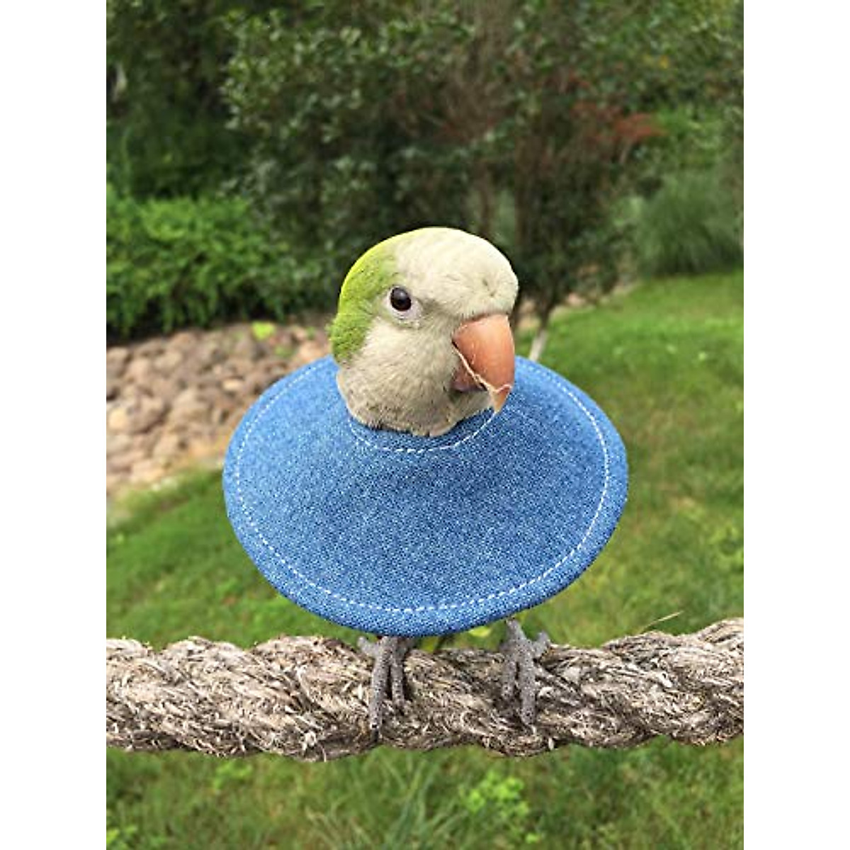 HEZHUO Adjustable Parrot Cone Collar, Safe and Practical Cotton Collar to Prevent Bites and Licking Wounds, to Help heal (XS)