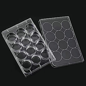 12-Well Tissue Culture Plate - Individually Wrapped， with Lid，Flat Bottom Wells（Pack of 10）
