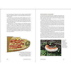 Teaming with Fungi: The Organic Grower's Guide to Mycorrhizae (Science for Gardeners)