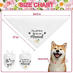 KOOLTAIL Dog Wedding Bandanas, 2 Pack Wedding Gift for Engagement Announcement Photos, Pet Scarf Accessories for Dog Lovers Bridal Show