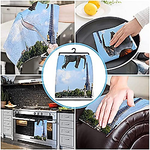 Big buy store Kitchen Towels Set of 4 Butterfly Elephant Dish Towels and Dishcloths Sets Decorative Tea Towel Funny Animal Absorbent Hand Towels for Kitchen Drying Bathroom Decor Gift 18x28 Inch