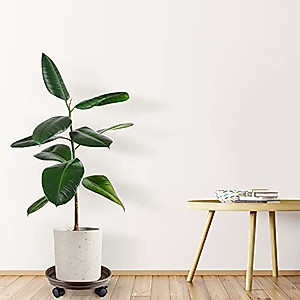 Skelang 4-Pack Plant Caddy 11.8 Inches, Plant Pallet with Brake Wheels, Plant Stand Roller for Indoor and Outdoor Heavy Duty Planter, Load Capacity 125 Lbs (Coffee)