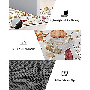 Pumpkin Leaves Bath Mat for Tub,Non Slip Bathroom Floor Runner Rug Quick Dry & Absorbent Diatomaceous Earth Shower Sink Kitchen Living Room Washable Doormat,Retro Fall Wildflower Plant Leaves 16"x24"