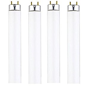 DYSMIO Lighting F15T8-CW 15-Watt 18-inch 4100K 825 Lumen Medium Bi-Pin Base T8 Fluorescent Straight Tube Bulb with Cool White Light- 4 Pack