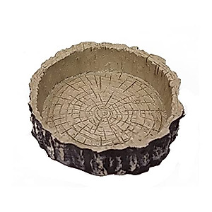 Reptile Water Dish Feeder Bowl Pet Feeding Tray Environmentally Friendly Resin for Tortoise, Gecko, Turtle, Snake, Lizard, Spider, Chameleon
