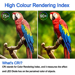 ENERGETIC BR30 LED Flood Lights Indoor, Daylight 5000K, 65W Recessed Light Bulbs, Dimmable, 750lm, Energy Star & CRI 90, UL Listed, 6 Pack