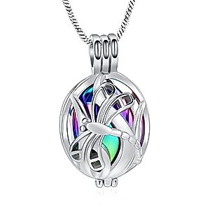 BLNETU Memorial Cremation Urn for Pet Dog Ashes Stainless Steel Woman's Gift to Anniversary Keepsake Jewelry