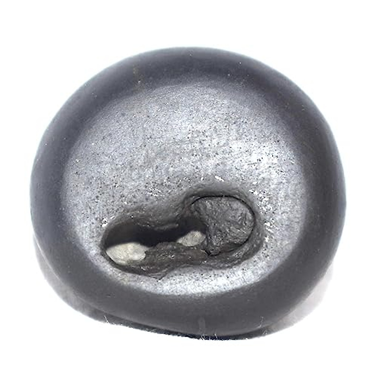 Krishna Shaligram/Santan Gopal Shaligram