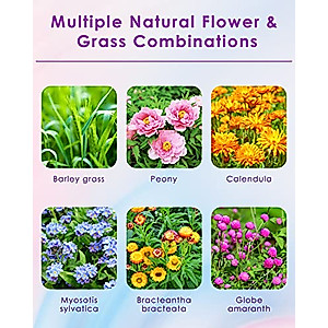 Bissap Natural Flower & Herb Hamster Bedding 300g/10.5oz, Small Animal Soft Flower Habitat Decor for Syrian Dwarf Hamster Gerbil Chinchilla Mice Degu and Other Small Pet Flower Bedding Odor Control