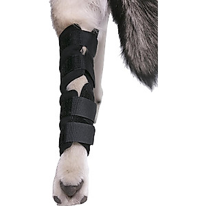 ceepdoogle Dog Extra Supportive Canine Rear Leg Hock Joint Compression Wrap for Recovery Protection Sprain and Injury Prevention Hind Ankle Brace with Knee Support for Dogs Extra Large