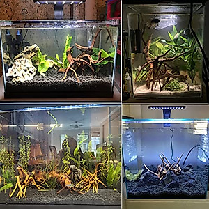 Tfwadmx Aquarium Driftwood Natural Wood Reptile Branch Fish Tank Tree Plant Stump Ornament Decor 4 PCS