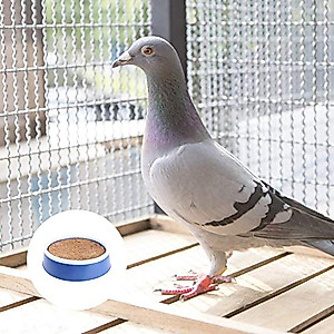 YARDWE 2pcs Handwoven Pigeon Nesting Bowls Pigeon Doves for Pigeon Dwarf Rabbit Gerbil Chinchillas Parakeet Guinea Pigs