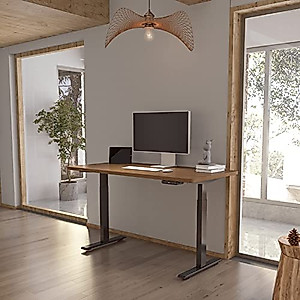 AITERMINAL Dual Motor Standing Desk Frame, Electric Adjustable Standing Desk Legs for Office Home (Black Frame + Motors + Control Panel)