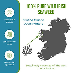 Caniclean Seaweed for Dogs Teeth - Dog Tartar Removal Tool, Plaque Remover, and Breath Freshener - Get Plaque Off Dogs Teeth Naturally. 14oz/396g.