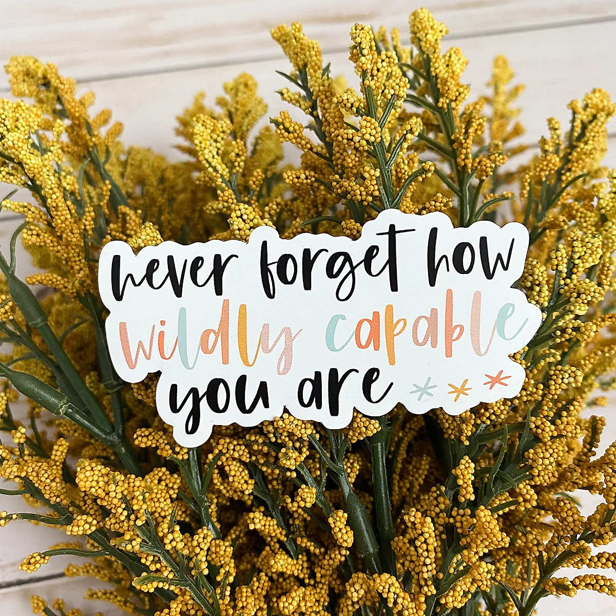 Swaygirls locker magnet | Cute fridge magnets | Never forget how wildly capable you are refrigerator magnet | Inspirational quotes | Be nice.