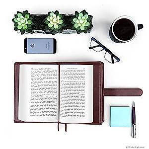 Double AA Big Book Cover & 12 Steps & 12 Traditions | by Galileo | Perfect Gift | Alcoholics Anonymous (Plain/Brown)