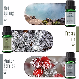 Fragrance Oils, MitFlor Winter Essential Oils for Home Diffusers, Soap & Candle Making Scents, Premium Holiday Aromatherapy Gift Set, 6 x10ml-Winter Berries, Gingerbread Cinnamon, Fireplace & More