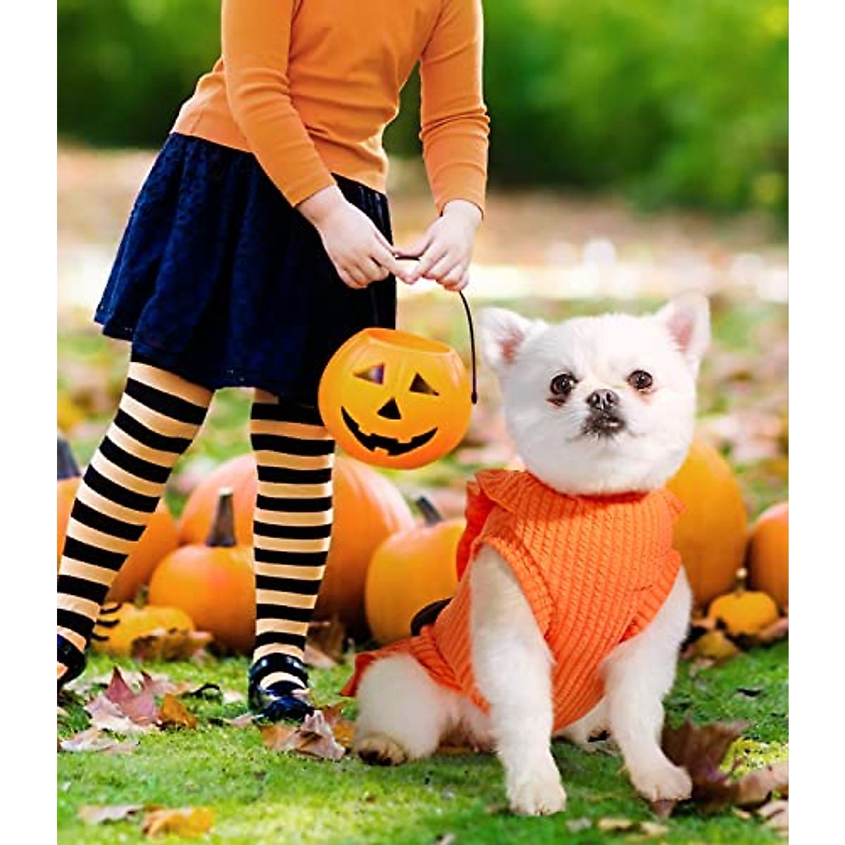 Topkins Dog Birthday Dresses, Dog Princess Dress, Turtleneck Puppy Skirt with Velvet Bowknot for Small Medium Dogs Girl (Orange, L)