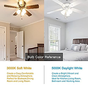 Dimmable A15 LED Bulb, 2W E26 Globe Light Bulbs, 25 Watt Incandescent Bulb Equivalent, 3000K Soft Warm White, Clear Glass, Small Round Filament Bulbs for Ceiling Fans, Bathroom Vanity, 6 Pack