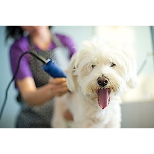 Andis – 23275, Ultra Edge Detachable Blade Clipper - Super 2-Speed Rotary Motor with Minimal Noise, 3400-4400 Strokes per Minute, Includes 14-Inch Heavy-Duty Cord – for Dogs, Coats & Breeds, Blue