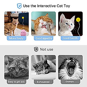 Automatic Ball Toy for Indoor Cats, Clearance Motion Activated Interactive Simulation Rotating Timing Ninja Toys …