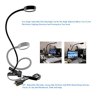 ZSGoes 2 Pack Clamp Gooseneck LED Desk Lamp, Clip on Bendable Steel Light, C-clamp Sewing Machine Table Mount, 360degree Flexible Neck 3 Colors 10 Level Brightness (Clamp)