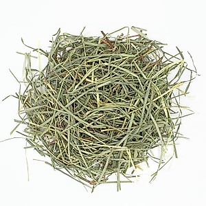 Oxbow Animal Health Orchard Grass Hay - All Natural Grass Hay for Chinchillas, Rabbits, Guinea Pigs, Hamsters, Gerbils & Other Small Pets - Fiber Rich- Grown in the USA- 9 lb.