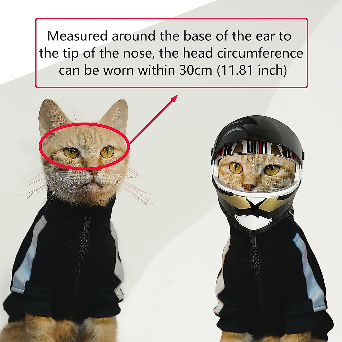 GSYUWIH Pet Motorcycle Helmet,Lightweight and Delicate Puppy Cat Motorcycle Headwear,Portable Pet Head Jewelry for Adult Cats and Puppies Racing Fans Collect Small Gifts