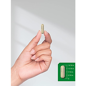 Horbaach Butchers Broom Capsules 1250mg | 120 Count | Non-GMO, Gluten Free | Traditional Herb Root Extract Supplement