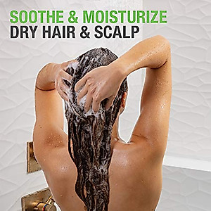 Neutrogena Soothing & Calming Healthy Scalp Shampoo to Moisturize Dry Scalp & Hair, with Tea Tree Oil, pH-Balanced, Paraben-Free & Phthalate-Free, Safe for Color-Treated Hair, 12oz