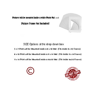 Red Brown Outhouse Bathroom Decor Modern Farmhouse Photography Matted Wall Art Picture (8x10 Photo with 11x14 mat, Brown Red Outhouse)