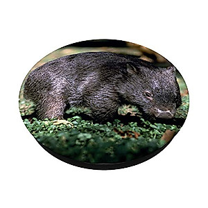 Wombat PopSockets PopGrip: Swappable Grip for Phones & Tablets