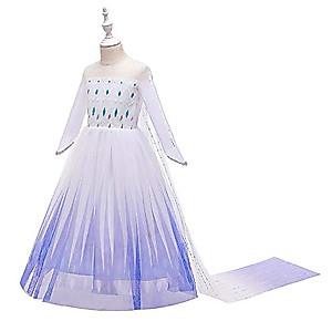 Little Girl Princess White Snow Party Dress Queen Costumes with Accessories (4T, White with Accessories)