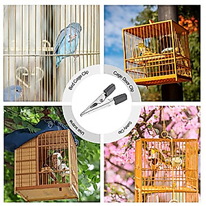 20Pcs Bird Cage Clips Safety Clip Door Lock Parrot Cage Safety Clip Pet Cages Accessories Parakeet Toys