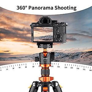 K&F Concept 63" Carbon Fiber Camera Tripods,D254C1+BH-28L Compact Tripod with Detachable Monopod, Metal Ball Head 10KG Load Capacity with Quick Release Plate for SLR DSLR Digital Camera/Camcorder