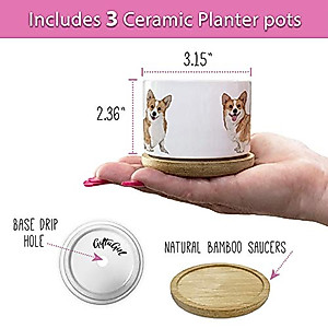 GIFTGIRL Corgi Gifts for Corgi Lovers - Our Corgi Succulent Planters Make Great Corgi Gifts for Women and are Perfect Corgi Gifts for Girls. All Corgi Lovers, Love Corgi Gifts