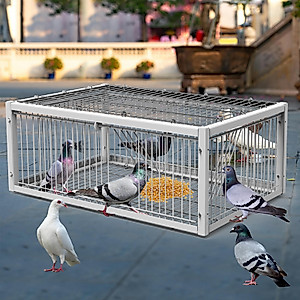 PAUQRWIE Pigeon Trap Cage Bird Traps for Small Birds Folding One-Way Entrance Trapping Portable U-Trap Door for Doves Breeding Supply Pigeon Coop