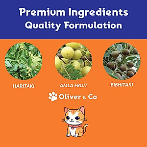 Oliver & Co. Cat Constipation Relief - Cat Laxative - Cat Constipation - Constipation Relief for Cats -Constipation Relief for Cat - Cat Laxative Constipation Relief - 1 fl oz - Roast Chicken Flavor