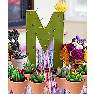 Succulent Candles, Novelty Cactus Tealight Candle Baby Shower Candle Decorations for Party Favors Terrarium Cacti candels Home Decor…