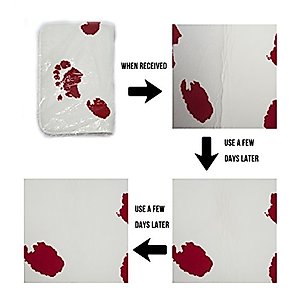 Indoor Door Mat,Solid Sage Green 18 x 30 inch Large Non-Slip Absorbent Dirt Entrance Mat, Washable Low Profile Inside Floor Mat Doormats for Entryway