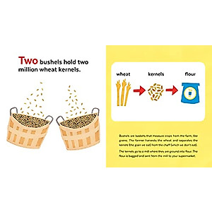 1 2 3 the Farm and Me: An Interactive Learn to Count Board Book for Toddlers (America's Test Kitchen Kids)
