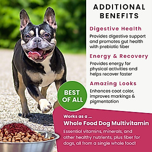 Olewo Original Red Beets for Dogs – Natural Dog Anti Itch, Dog Food Topper, Skin & Coat Support – Dehydrated Vegetables for Dogs, Dog Supplements & Vitamins, Toppers for Dogs, Fiber for Dogs, 5.5 lbs