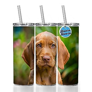 Wirehaired Vizsla Dog Puppy Photo Skinny Tumbler 20oz with Straw Insulated Water Bottle Gift