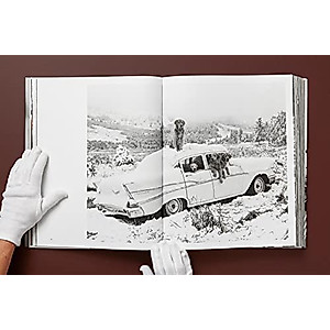 The Golden Retriever Photographic Society