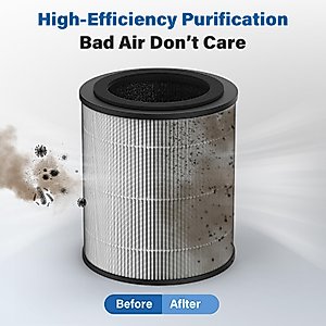 JF100 Replacement Filter, 3-in-1 H13 True HEPA and High-Efficiency Activated Carbon Filter, 2-Pack