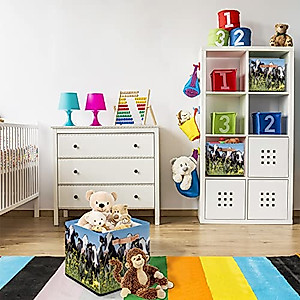 Funky Qiu Storage Cube Bins Farm Flower Cow Large Collapsible Storage Basket with Handle Decorative Storage Boxes for Toys Organizer Closet Shelf Nursery Kid Bedroom,13x13x13
